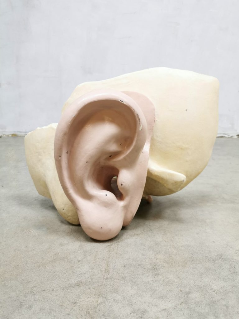 Scale model body parts vintage anatomic model | Bestwelhip